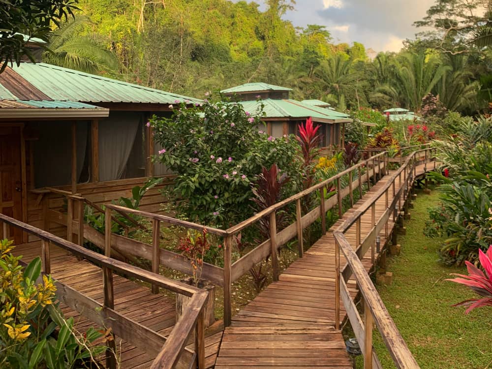 Path - PathLight International